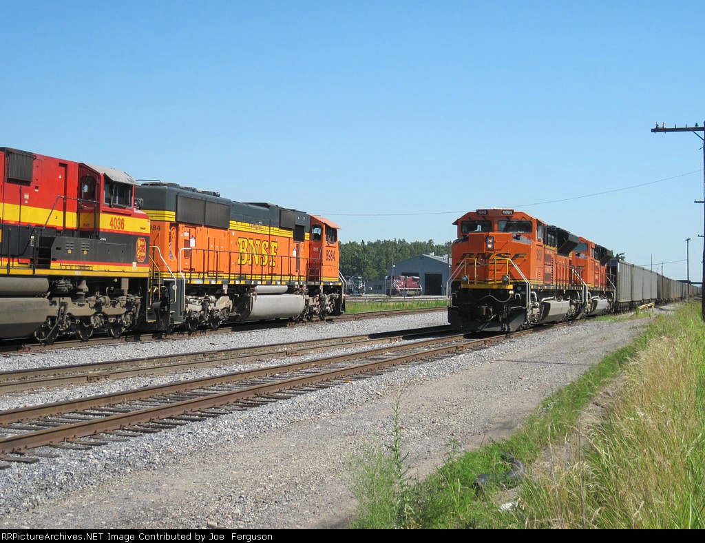 Lots of color on the 1st with a rare KCS visitor in Paducah
